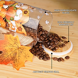 ANOTION Glass Storage Jars with Lids - Fall Gnomes Glass Jars 18oz Glass Food Storage Containers for Kitchen Storage, Pantry, Canning Jars for Storage Cookie, Sugar, Candy, Tea, Coffee, 3 Packs