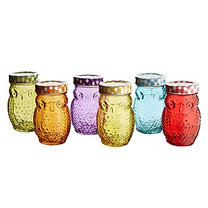 Style Setter Owl Colors Jars with Lids (Set of 6), Multicolor