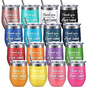 Thank You Gifts Thank You for Being Awesome Wine Tumbler Employee Appreciation Gifts Thank You Gift for Women Men Coworkers Friend Stainless Steel Insulated Tumbler with Straw (Warm Color, 16 Pcs)