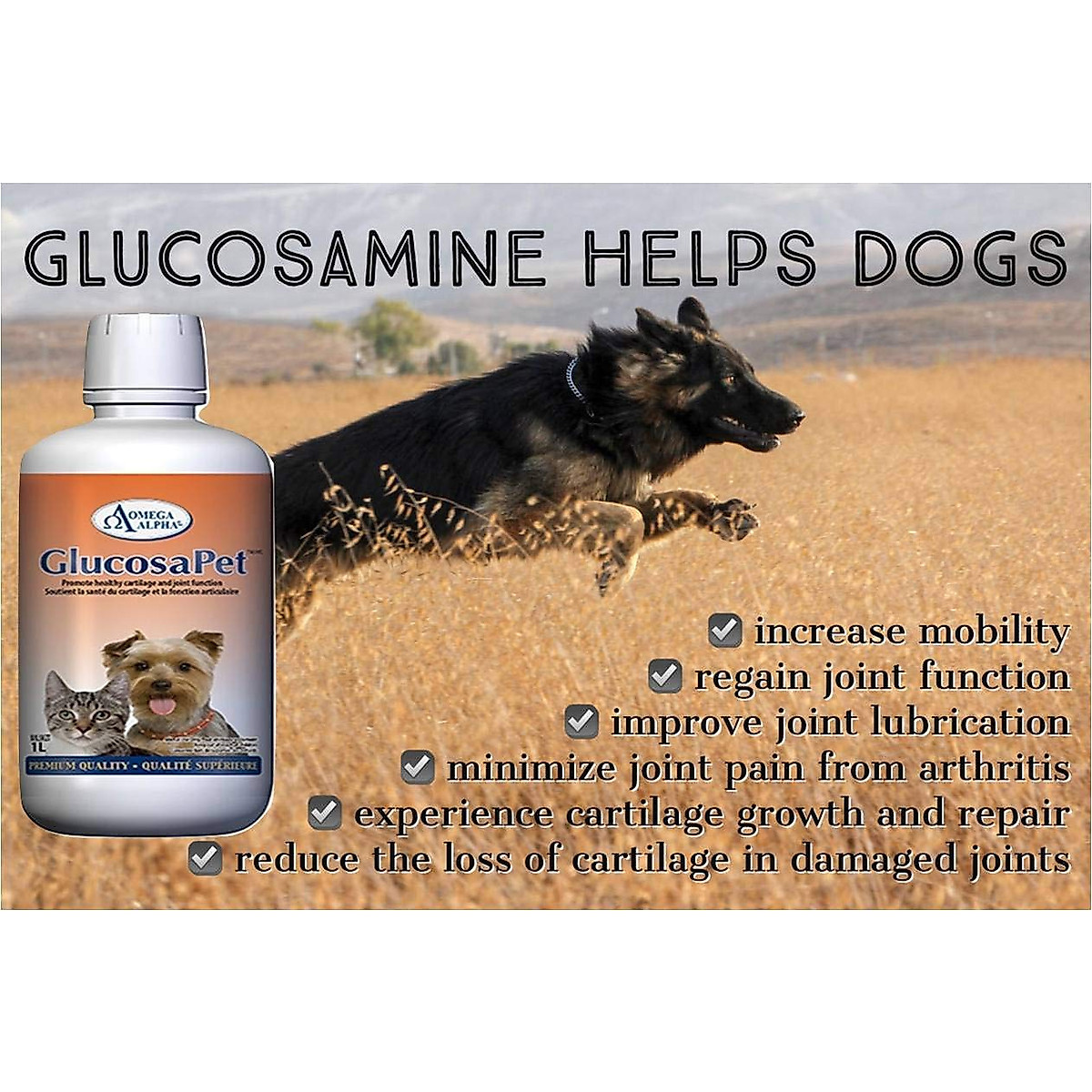 Omega Alpha Pets Performance and Mobility- GlucosaPet (1L)