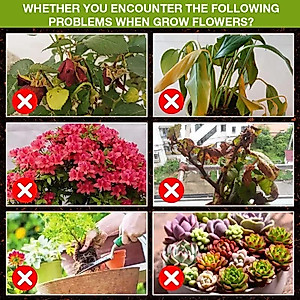 KAMATION Plant Growth Enhancer Supplement, 2023 Upgraded Take Root Rooting Hormone Supplement for Transplant & Rescue The Disease Seedlings, Promotes Rooting, Grow New Plants from Cutting (A*2pcs)