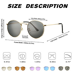 Pro Acme Small Round Metal Polarized Sunglasses for Women Retro Designer Style (Gold Frame/Black Lens)