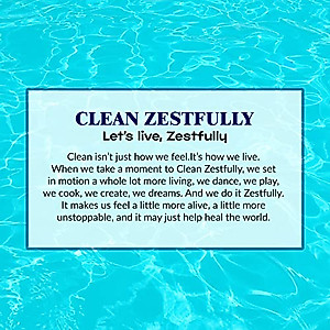 Zest Aqua Soap 5 oz, 10 count