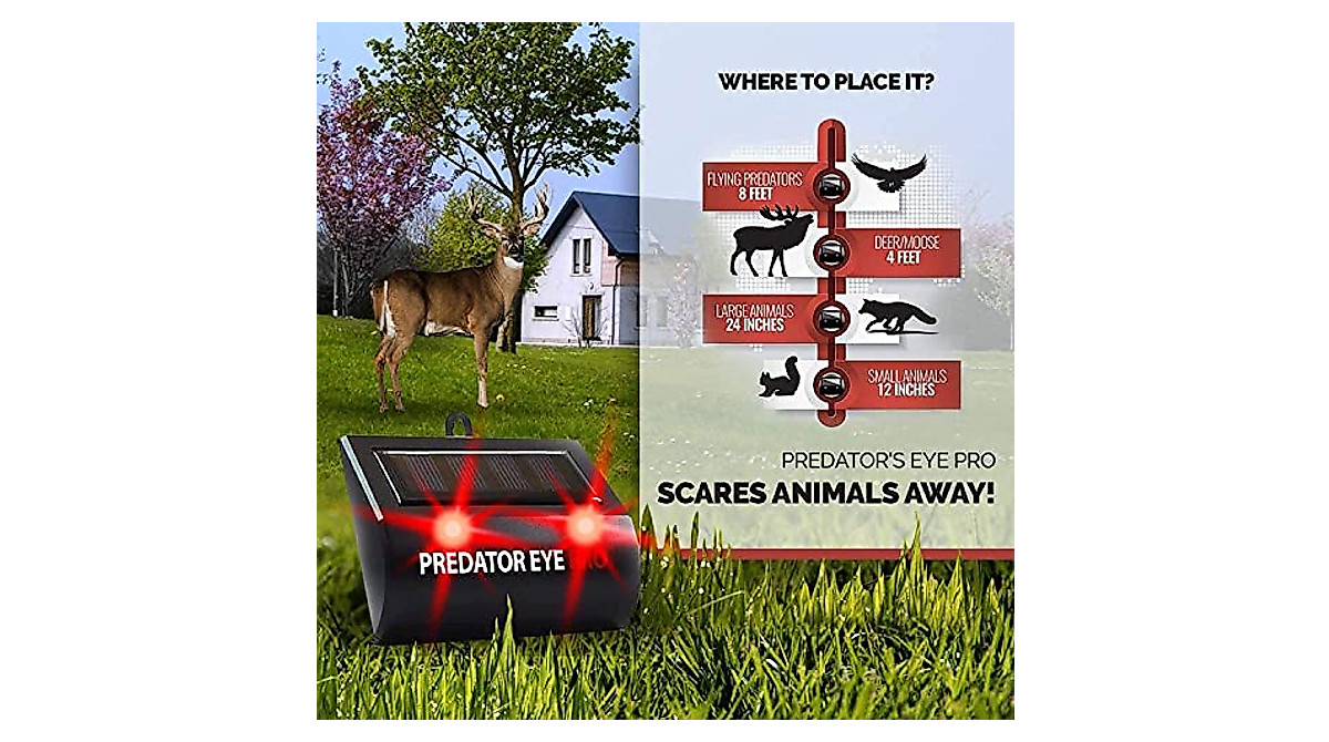Predator Eye PRO: Solar Animal Deterrent | 4600sq ft | 2-Pack