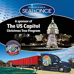 Seal-Once Nano Penetrating Wood Sealer - Premium Waterproof Sealant - 1 Gallon Clear Wood Sealant