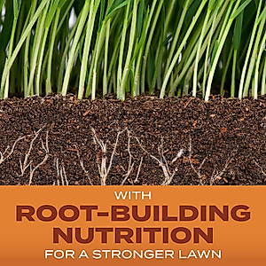 Scotts Turf Builder Grass Seed Bermudagrass with Fertilizer and Soil Improver, Drought-Tolerant, 4 lbs.