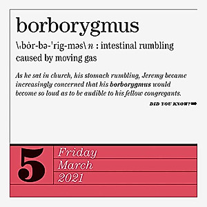 365 New Words-A-Year Page-A-Day Calendar 2021