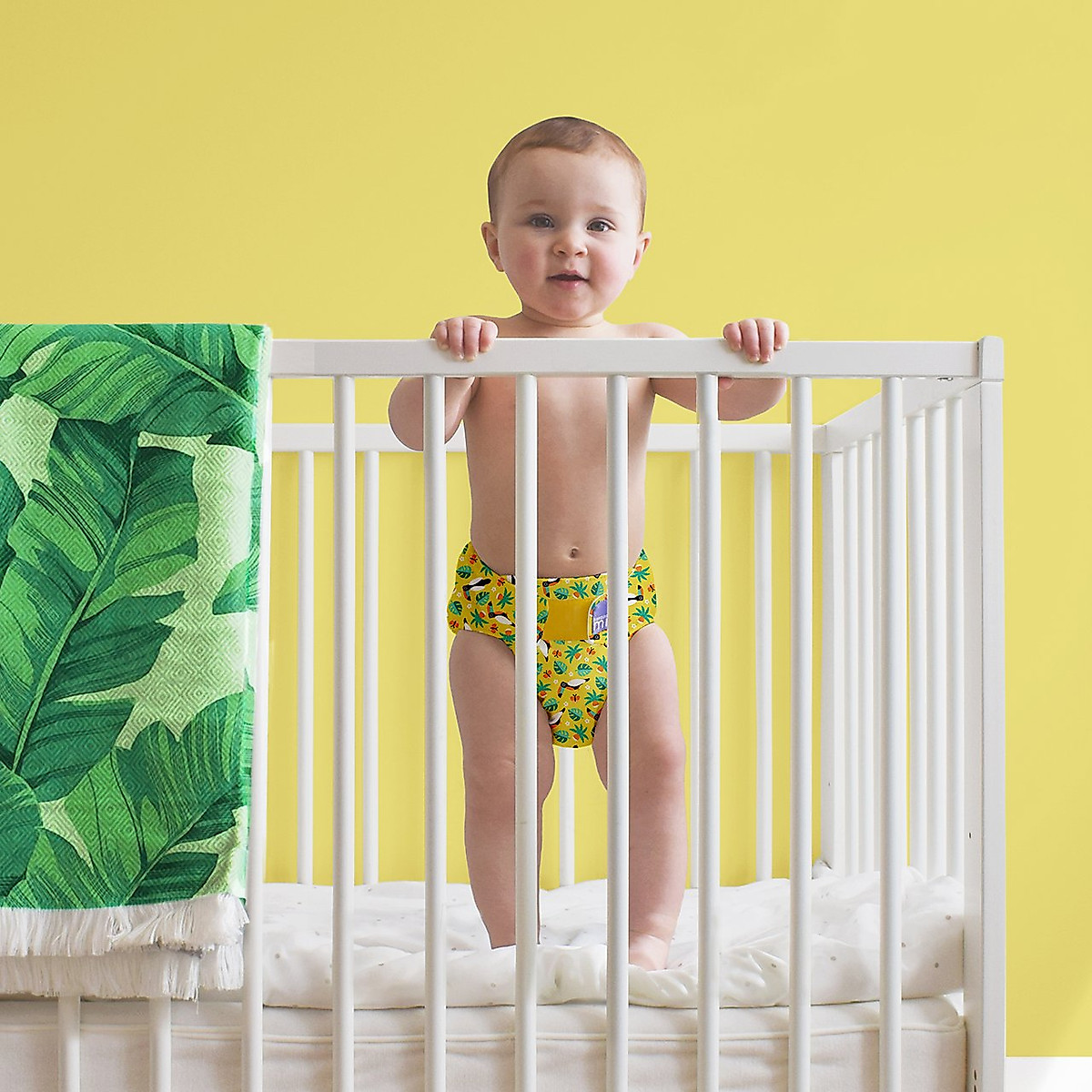 Bambino Mio Miosolo All-in-One Cloth Diaper, Tropical Toucan, (Pack of 4d-1)