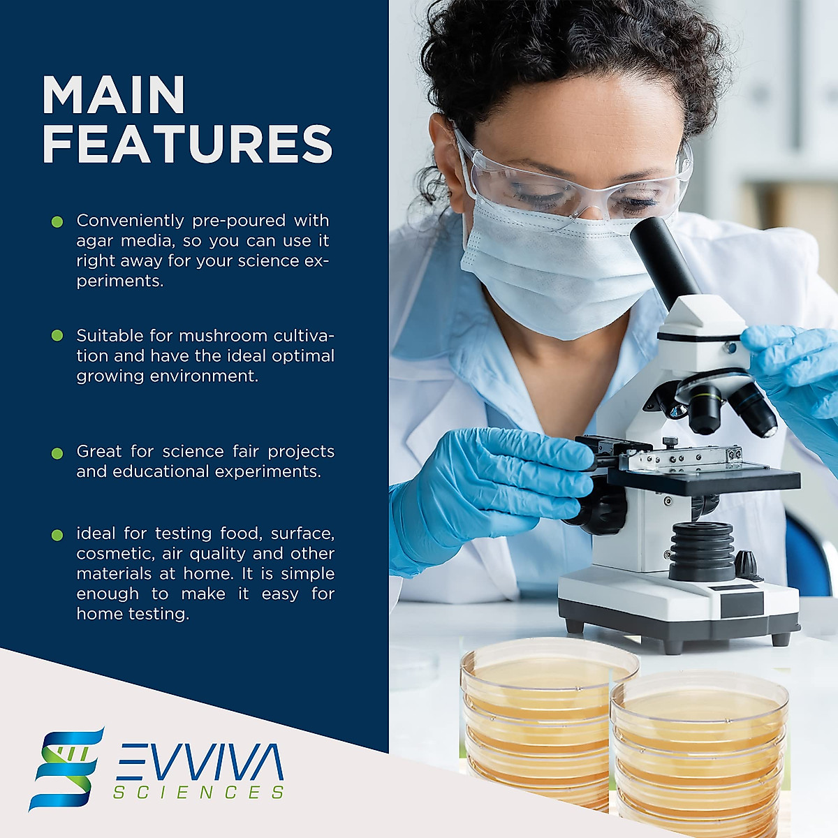 Evviva Sciences Potato Dextrose Agar Petri Dishes - Prepoured Potato Dextrose Agar (PDA) - for Mushrooms, Home Test Kit, or for Science Fair Projects, Petri Dishes with Agar