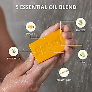 Solpri Shield Athletic Soap Bar Lemongrass Tea Tree Eucalyptus 4 oz (6 Pack)