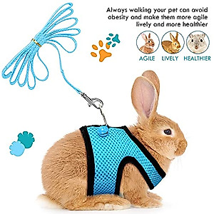 2 Pieces Guinea Pig Clothes Baby Ferret Rats Hamster Soft Mesh Harness Leash Vest Set with Bell for Guinea Pigs, Hamster, Ferret, Rabbit, Chinchilla and Similar Small Animals