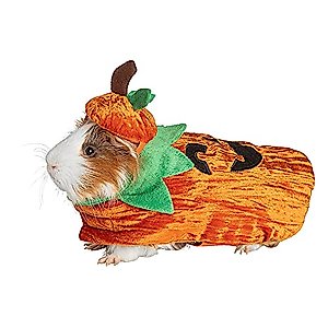Thrills & Chills Guinea Pig Small Pet Pumpkin Holiday Halloween Costume Clothes Accessory Funny Cute Pumpkin
