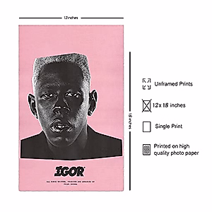 Tyler, The Creator Album - Igor Wall Decor Poster 12x18"