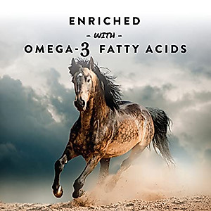 Manna Pro Sho-Hoof Supplement for Horses | Biotin and Zinc Methionine for Healthy Hooves | 5 Pounds