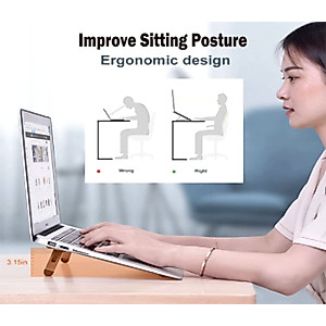 REYPAZ Notebook, Laptop Stand for Desk - Adjustable Ergonomic Aluminum Computer Holder for Laptop - Portable Laptop Holder for Home, Office Desk etc