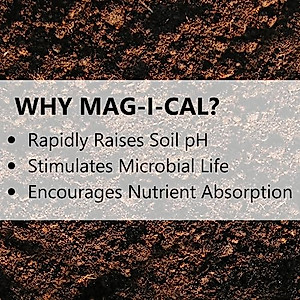 Jonathan Green (11353) Mag-I-Cal Soil Food for Lawns in Acidic Soil - Soil Amendment for Grass (5,000 Sq. Ft.)