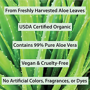 USDA Organic Aloe Vera Gel - For Face, Body, Hair - 100% Pure, After Sun Care