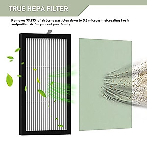 Dryer Advanced HEPA Filter Compatible with Dr. Brown's Clean Steam Baby Bottle Dryer Advanced, 4 Pack