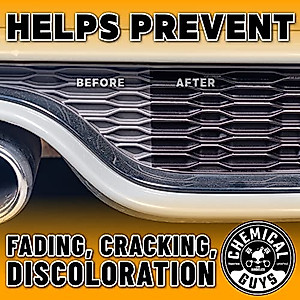 Chemical Guys AIR_SPRAY_1 Black On Black Instant Trim Shine Exterior Spray Dressing & Protectant, (Safe for Cars, Trucks, SUVs, RVs, & More) 11 fl oz