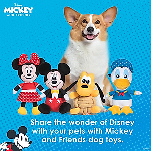 Disney for Pets Donald Duck Plush Squeaky Dog Toy 9in | Disney Dog Toys | Plush Squeaker Toy for Dogs Inspired by Donald Duck, Disney Mickey and Friends