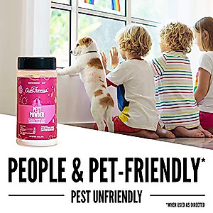 Aunt Fannie’s Pest Powder, Indoor and Outdoor Use, 11.5 Oz (Single)