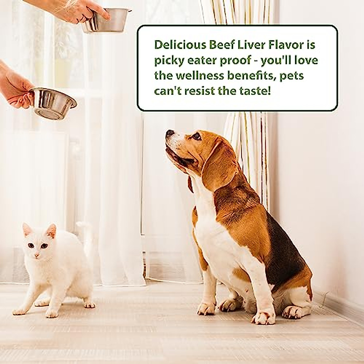 MacroLife Naturals MacroPets Greens Superfood Supplement Powder Topper for Dog Cat Small Mammal, Natural Nutrition Boost Probiotics Digestive Enzymes Vitamin E - Immune Gut Health & Energy - 6.35oz