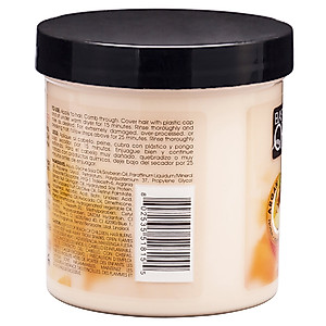 Elasta Qp Argan Oil Soy Ultra Hydration Deep Conditioner 15 Oz