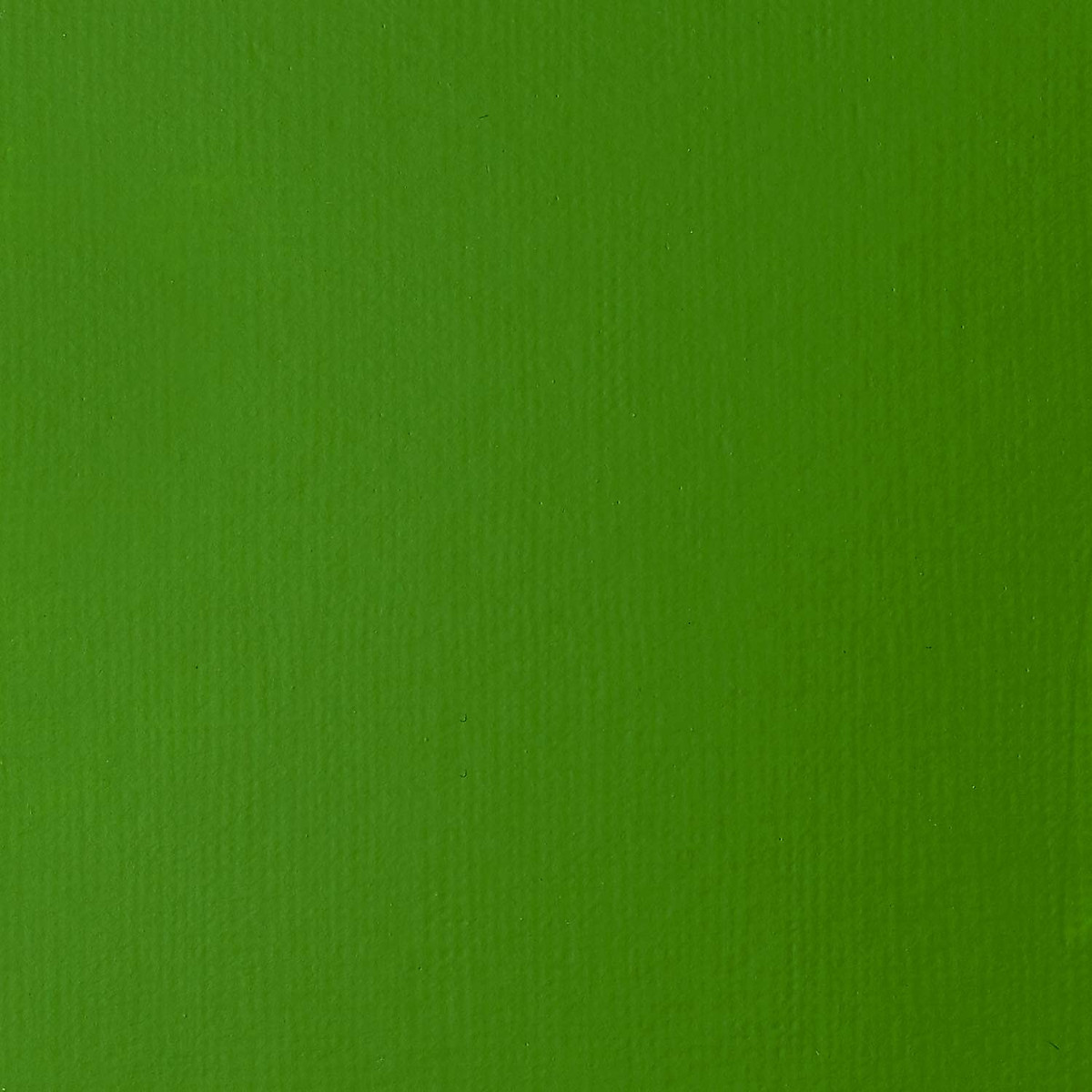 Liquitex BASICS Acrylic Paint, 946ml (32-oz) Jar, Light Green Permanent