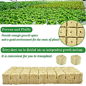 Halatool 1.2 inch Rockwool Cubes 2 Sheets Fluffy Porous Hydroponics Planting Cubes for Soilless Cultivation Seedlings Cuttings Clone Plants (72 Plugs Total)