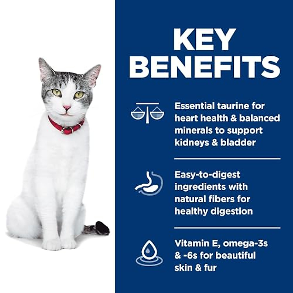 Hill's Science Diet Adult 11+, Senior Adult 11+ Premium Nutrition, Dry Cat Food, Chicken Recipe, 15.5 lb Bag