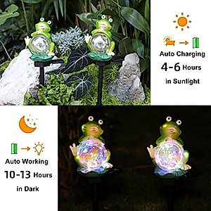Rizzon Garden Statues-Solar Garden Decor Lights-Solar Frogs- Outdoor Lawn Decor Garden Frog for Pathway Balcony, Yard, Lawn Patio Decorations