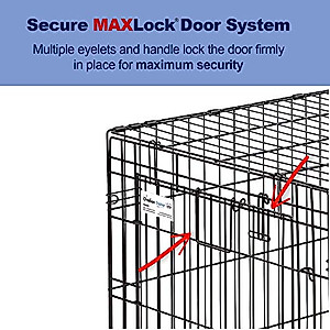 MidWest Homes for Pets Ovation Double Door Dog Crate, 24-Inch