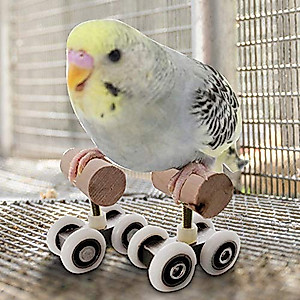 Mini Roller Skates for Parrot Double Row Toy Pet Intelligence Training Kit Supplies for Smaller Parrot