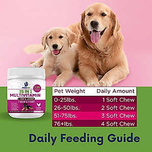 Dog Multivitamin with Vitamin C and E for Skin & Coat + Immune Health - 120ct - Glucosamine Chondroitin for Hip and Joint Support - Probiotics for Healthy Gut Flora - Postnatal Support