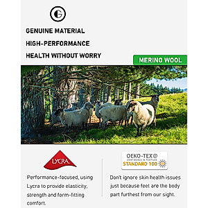 SITOISBE Men's Ski Socks Merino Wool (Pack of 2) for Skiing, Snowboarding, Snow Boots, Winter Warm, Toe Thermal, Shin Padded, Comfy Cushion, Knee High, Cold Weather Long Socks, X-Large, Grey