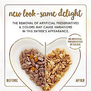 Purina Fancy Feast Gravy Wet Cat Food Variety Pack, Delights With Cheddar Grilled Collection - (24) 3 oz. Cans