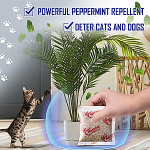 10 Pack Natural cat Detterent for Indoor Outdoor Use, Strong Peppermint and Garlic Cat Repellent Pouches, Give Indoor Plant Furniture Protection from Cats