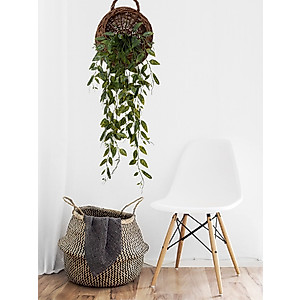 Mizii Artificial Hanging Plants,2 Pack 2ft Pea Pods Vine Fake Leaves Green Chain for Indoor Outdoor Wall Shelf Home Room Balcony Garden Wedding Decor