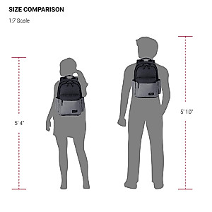 SwissGear 2789 Laptop Backpack, Grey/Black, 17.75-Inch