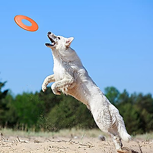 Nerf Dog 10in Atomic Flyer - Orange