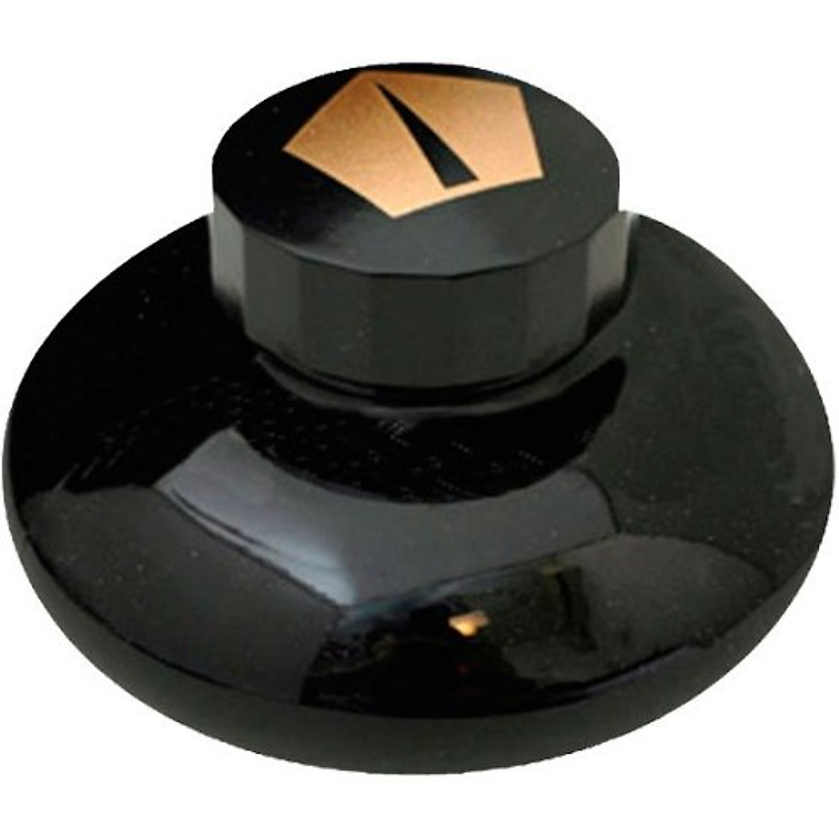 PILOT Namiki Standard Fountain Pen Ink, Black, 60ml Bottle (69200)