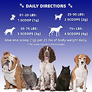 Mushrooms Extract Powder for Dogs & Cats - 10 Mushrooms Complex Pet Supplement for Immunity, Cellular Health, Cognition, Longevity - Lion's Mane, Turkey Tail, Reishi for Dogs & Cats - 3.53 oz / 100g