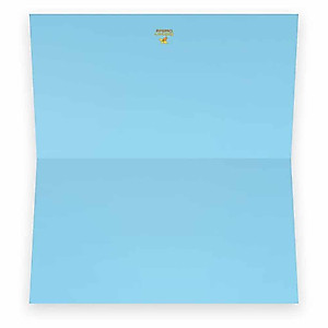 Light Blue Place Cards - FLAT or TENT Style - 10 or 50 PACK - White Blank Front Solid Color Border Placement Table Name Dinner Seat Stationery Party Supplies Occasion Event Holiday (10, TENT STYLE)