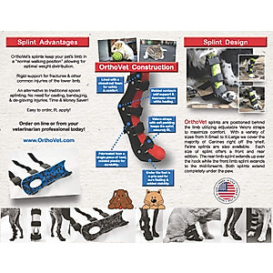 OrthoVet Standard Rear Splint for Dogs and Cats with Arthritis or Injuries (XXS)