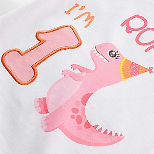 1st Birthday Girl T-Shirt Dinosaur Party B-Day Themed Tee Gift for Baby Dino First Birthday T Shirt Cotton Short Sleeve T-Rex Printed Embroidery Graphic Top Clothes (White, 1T)