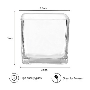 12 Pack Clear Square Glass Vases, Planter Terrarium Flowers Vase Candle Holder for Home,Garden, Wedding Centerpiece Decrations and Formal Dinners (Width 3", Height 3")