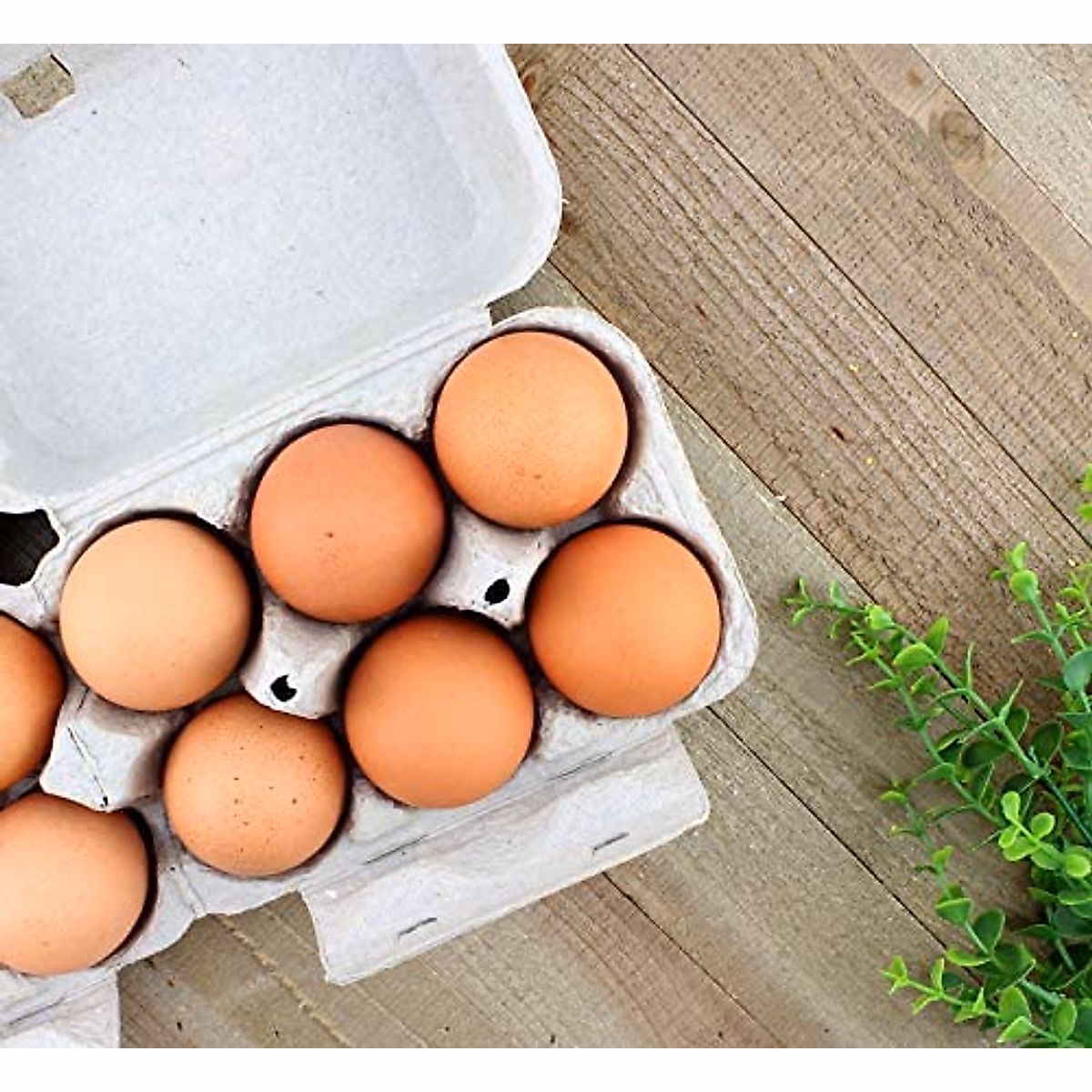 Cornucopia Half Dozen Egg Cartons (30-Pack); Split Apart Style for 6 Egg or 12 Egg Use; Holds 180 Eggs Total