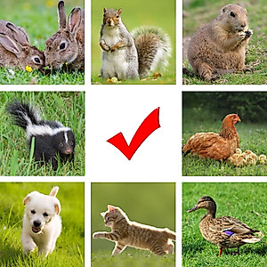 FenceMate AC Powered Electric Fence Charger Output 0.35J up to 7 Miles, Fence Energizer up to 7 kV to Contain Pet, Poultry, Keep Rodent & Nuisance Animals Out, Used in Homestead, Garden, Pond, Orchard