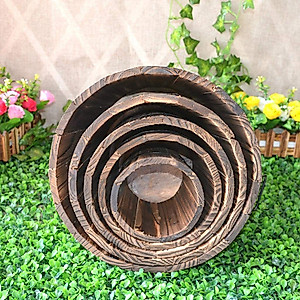 CoscosX Rustic Wooden Barrel Planter, Brown, 10x12x9cm, Ideal for Indoor and Outdoor Decor