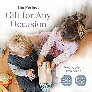 MK & CO. ORGANICS Sleep Sack - Unisex Sleep Sack Made of Soft Viscose Made Rayon (Mulberry Mist, 12-24 Month)